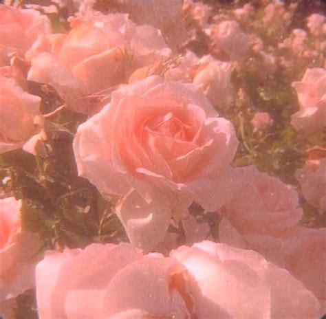 pink ethereal widget