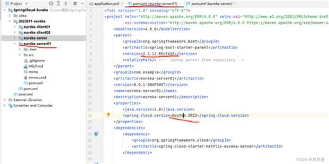 【springcloud入门】 初识eureka注册中心 Csdn博客