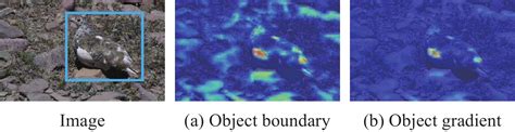 Deep Gradient Learning For Efficient Camouflaged Object Detection