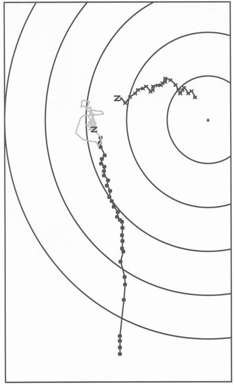 Examples Of Bumble Bee Bombus Spp Flight Trajectories Observed On
