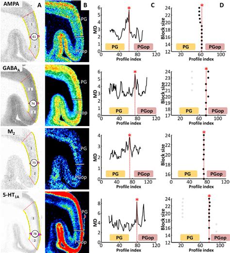 Algorithm Based Detection Of Areal Border Between Pg And Pgop In