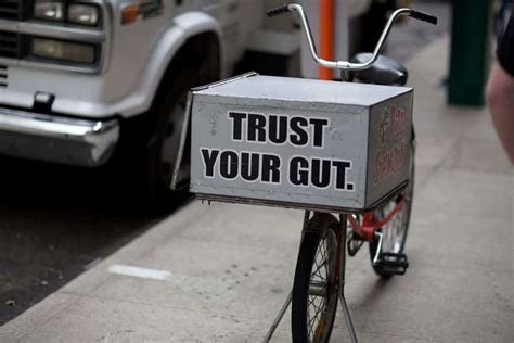 The Appendix Keeps You Healthy And Your Gut Bacteria Happy Study Finds