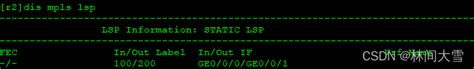 静态lsp与动态lsp实验解析（mpls） dis mpls lsp csdn博客