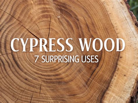 Hemlock Wood Top 7 Uses You Should Know