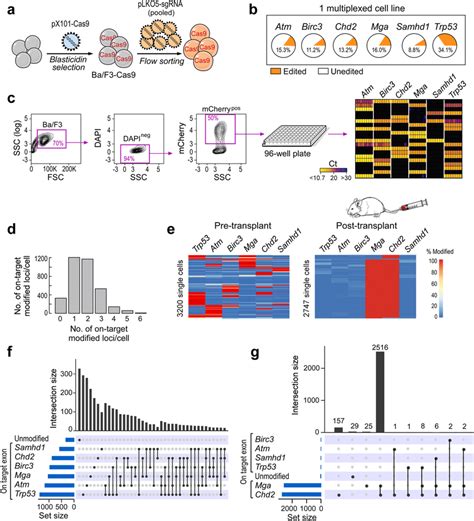 A Schema Of Generation Of A Multiplexed Ba F3 Cell Line B Crispr Seq