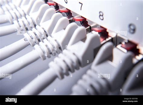Network Cable On Hub Internet Stock Photo Alamy
