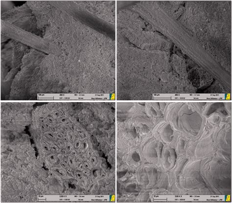 Propagation Of The Crack In The Composite During The Three Point Download Scientific Diagram