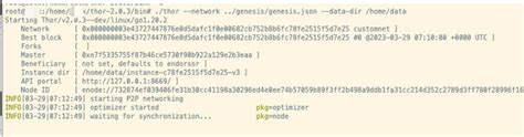 Unknown Error While Creating Custom Network · Issue 573 · Vechainthor