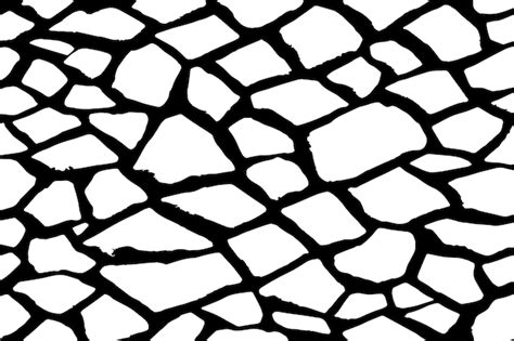 Premium Vector Monochrome Texture