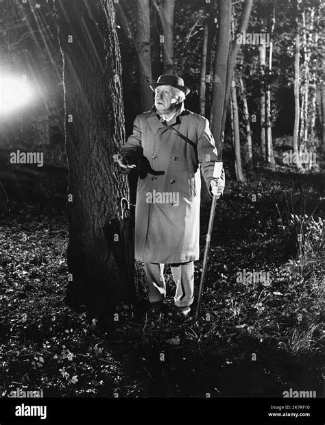 Arnold Ridley Film Dads Army Dads Army The Movie Uk 1971