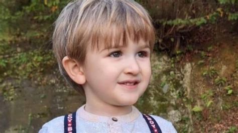 გურიაში ძაღლის მიერ დაკბენილი პატარა ლაზარეს ოპერაციის ხარჯებს სახელმწიფო სრულად დაფარავს