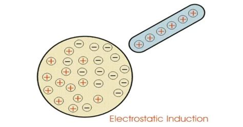 electrostatic induction assignment point