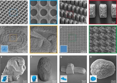 printing of complex nanowrinkled 2d and 3d microarchitectures a sem