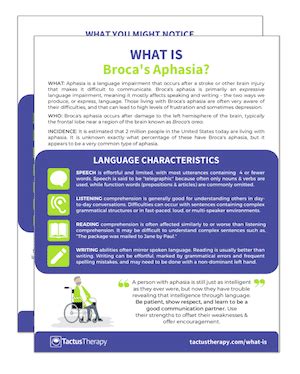 What Is Brocas Aphasia Non Fluent Aphasia Explained With Video