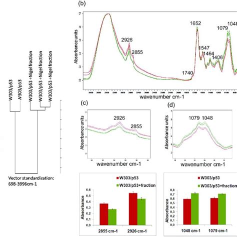 Ftir Spectroscopy Analysis Of The Whole Recombinant Yeast Clones