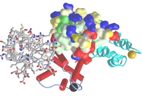 Fundamentals Of Biochemistry Vol V Literature Based Guided