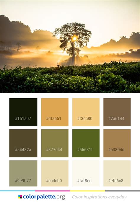 Nature Sky Tree Color Palette
