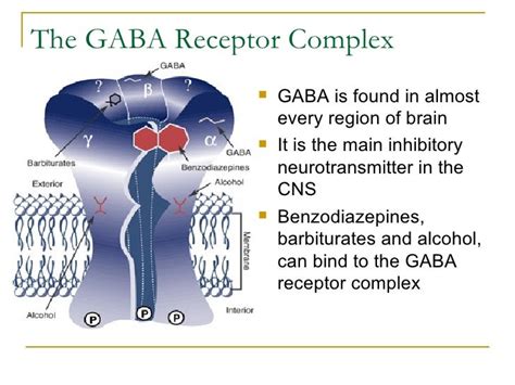 Original Research Presentation