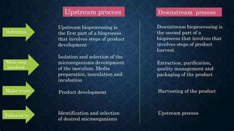 Upstream And Downstream Processpptxpptx