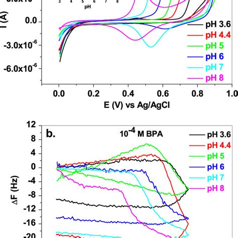 Cvs Recorded In Varying Ph Solutions Containing 10⁻⁴ M Bpa A Ph 36 Download Scientific