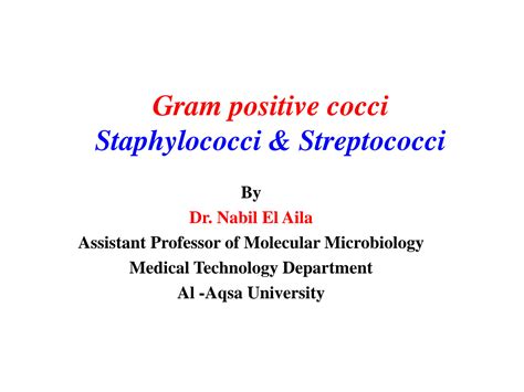 Solution Chapter 2 Gram Positive Cocci Studypool