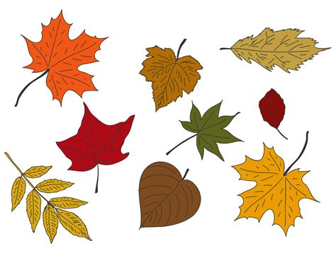 Free Printable Fall Leaves In Color Download Free Printable Fall