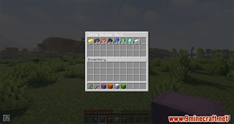Shulker Tooltip Mod 1 19 1 18 2 Learning About The Shulker Mc Mod Net