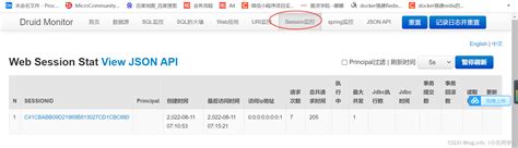Springboot整合druid实现对访问的监控druid Session监控 Csdn博客