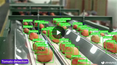 5️⃣ Object Detection And Image Segmentation Use Cases With Ultralytics 🎉 Muhammad Rizwan Munawar