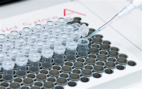 Amazon Prime For Dna Has A New Era Of Oligonucleotide Synthesis Begun Oligonucleotide