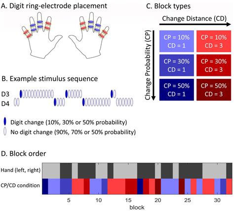 Experimental Task And Design Tactile Spatial Oddball Task Tsot Download Scientific Diagram