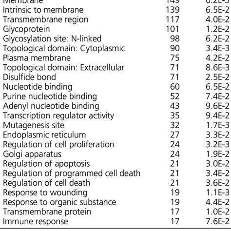 Functional Annotation Analysis Of Genes Differentially Regulated By Gcs Download Table
