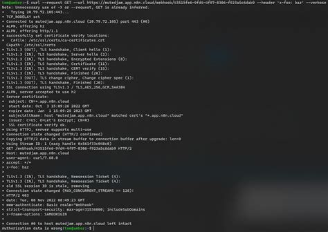 Header Authentication In Webhook Questions N8n