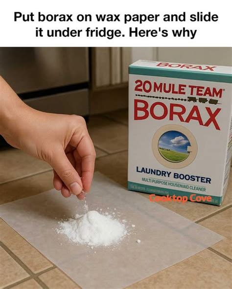 Put Borax On Wax Paper And Slide It Under Fridge Heres Why