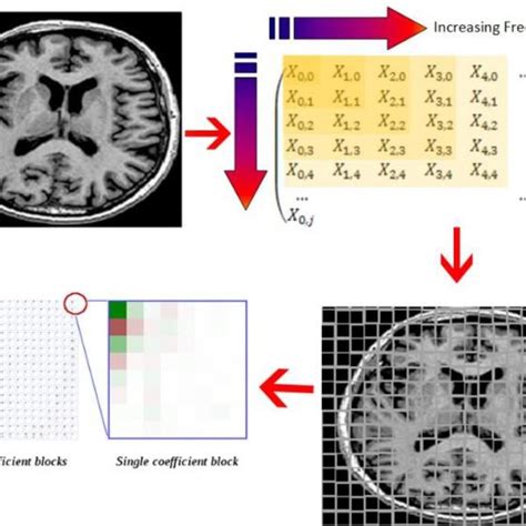 figure embedding and extracting watermark in digital watermarking
