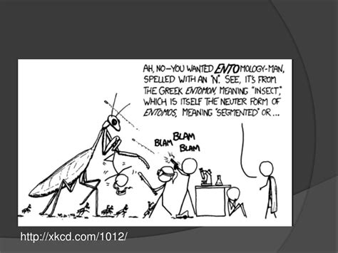 Ppt The Lexicon Powerpoint Presentation Free Download Id1110355