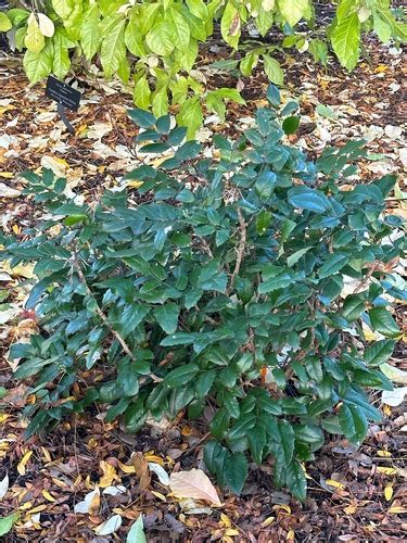 Week 6 Flashcards Quizlet Week 6 Flashcards Quizlet