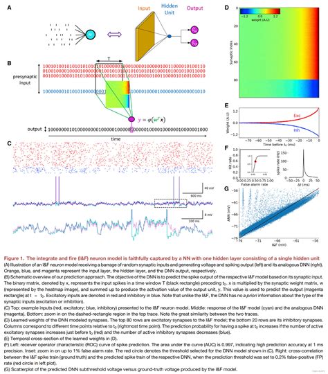 深度人工神经网络模拟单个皮层神经元2 Csdn博客
