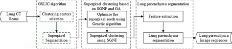 Diagram Of The Lung Parenchyma Image Sequences Segmentation Download Scientific Diagram