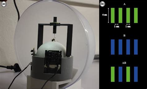 Virtual Reality Set Up And Visual Stimuli Used For Negative Patterning Download Scientific