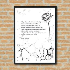 The Rose That Grew From Concrete Tupac Shakur Poem Inspiration Digital
