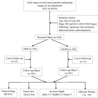 Patient Inclusion And Grouping Process ORH Open Radical Hysterectomy Download Scientific