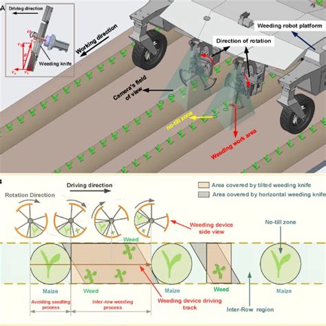 Pdf Intelligent Intra Row Robotic Weeding System Combining Deep Learning Technology With A