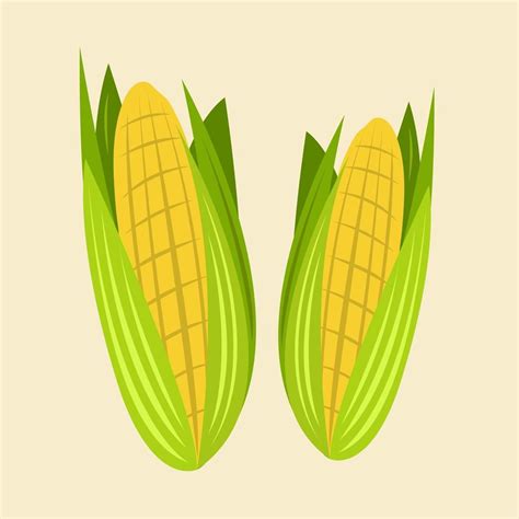Sweet Corn Vector Illustration For Graphic Design And Decorative Element 11858840 Vector Art At