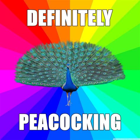 Peacocking Meme Alexaldridge