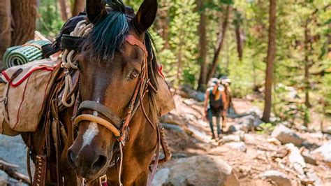 John Muir Trail June Lake To Tuolumne Meadows Wildland Trekking