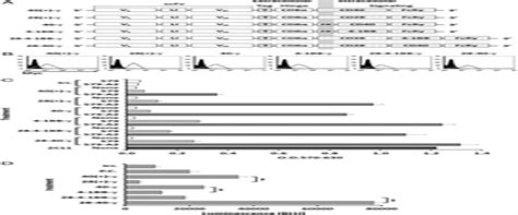 The Intracellular Domain Of Cd40 Is A Potent Costimulatory E Journal Of Immunotherapy