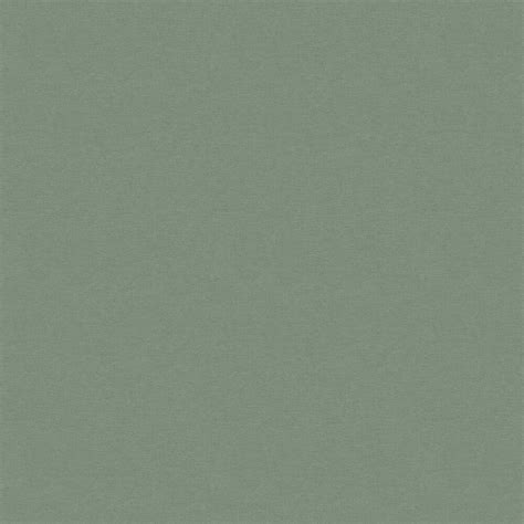 Plain Texture By Galerie Dark Green Wallpaper Wallpaper Direct
