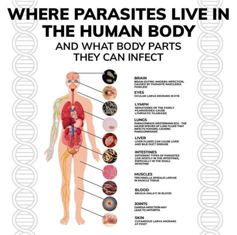 Ehbos Herbs Are You Experiencing Any Of This Symptoms Or You Have