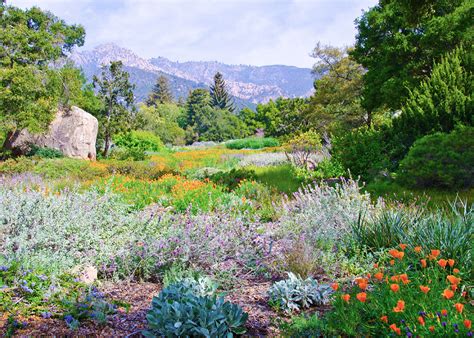 Thriving Together The Role Of Native Plants In A Warming World Santa